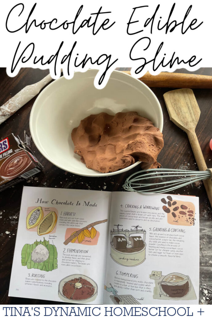 Easy Chocolate Edible Pudding Slime Recipe for Little Ones