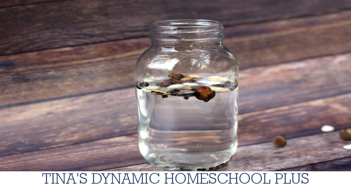 Exploring Seed Activity: How To Do A Sinking Seed Experiment