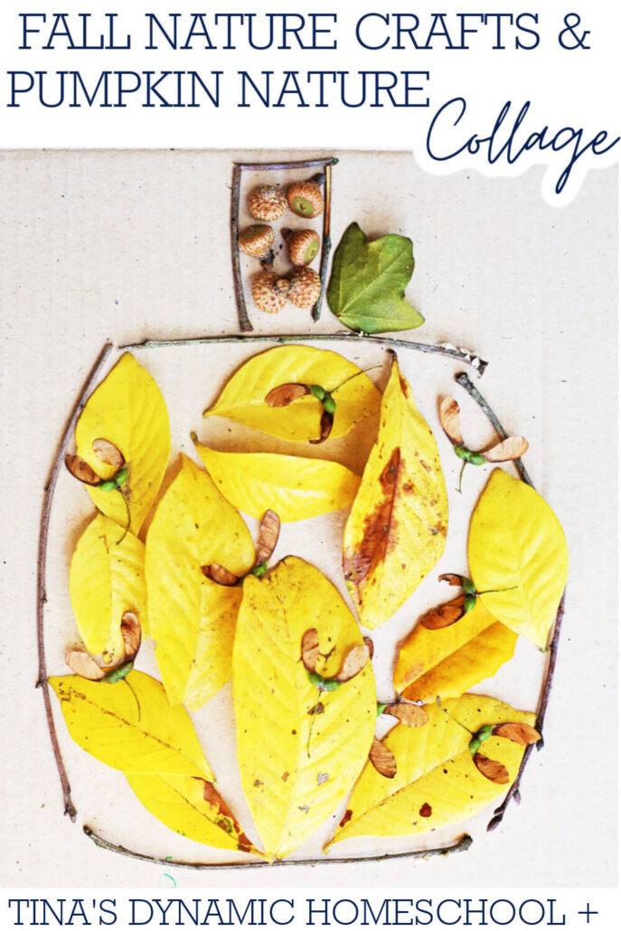 Fall Nature Crafts & How To Make A Pumpkin Nature Collage