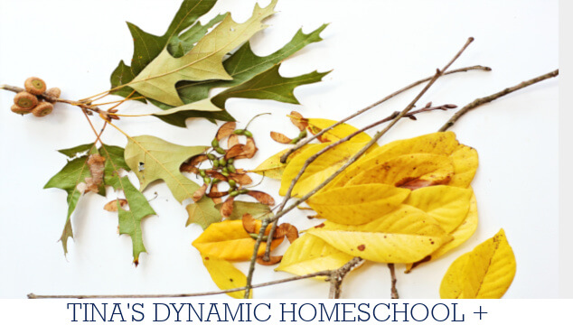 Fall Nature Crafts & How To Make A Pumpkin Nature Collage