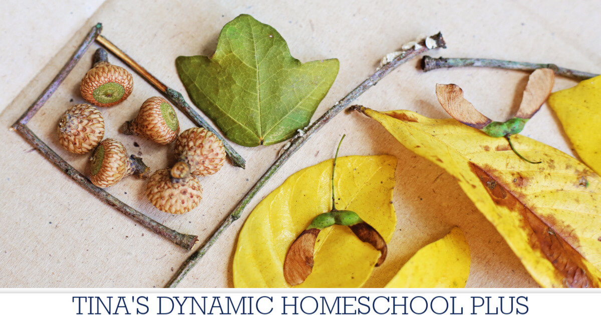 Fall Nature Crafts & How To Make A Pumpkin Nature Collage