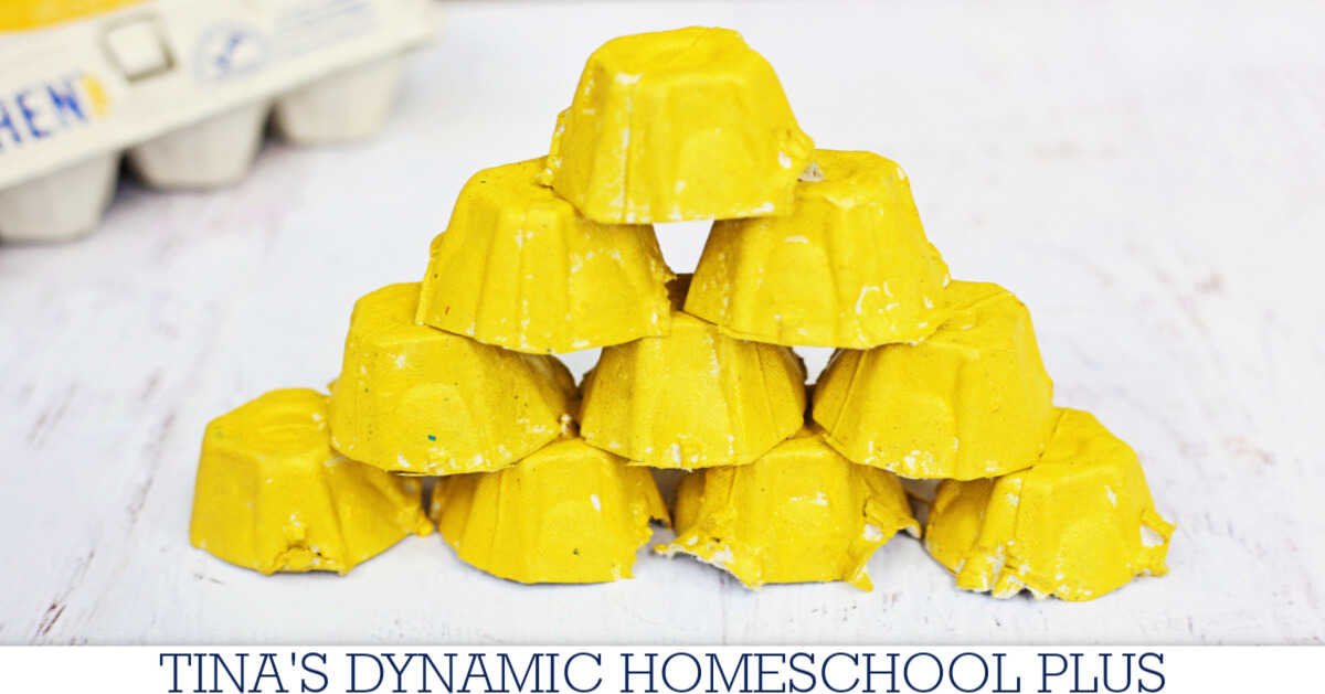 How To Introduce Engineering With An Egg Carton Craft