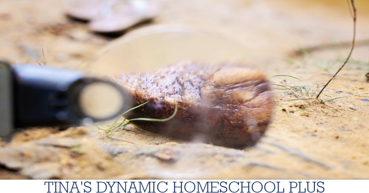 Rock and Mineral Project Ideas for Kids Who Love Hands-on