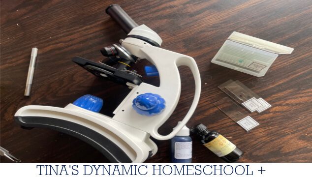 An Easy Beginner’s Guide to Biology Lab Supplies High School