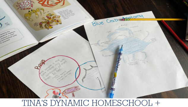 How To Combine High School Homeschool Marine Biology Curriculum ...