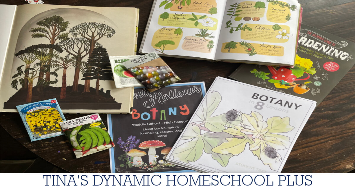How To Create A Botany High School Curriculum & Career Ideas