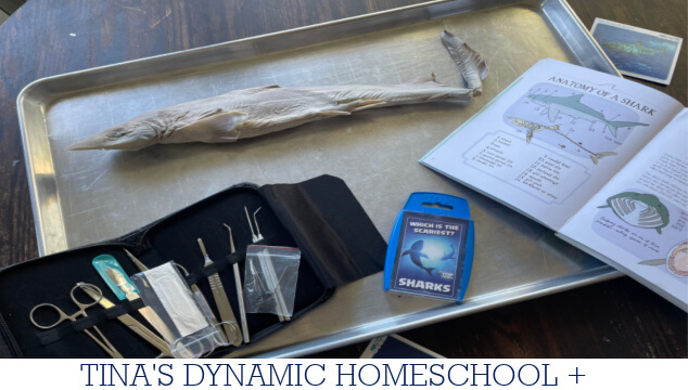 Biology Kits for High School & How to Do a Shark Dissection