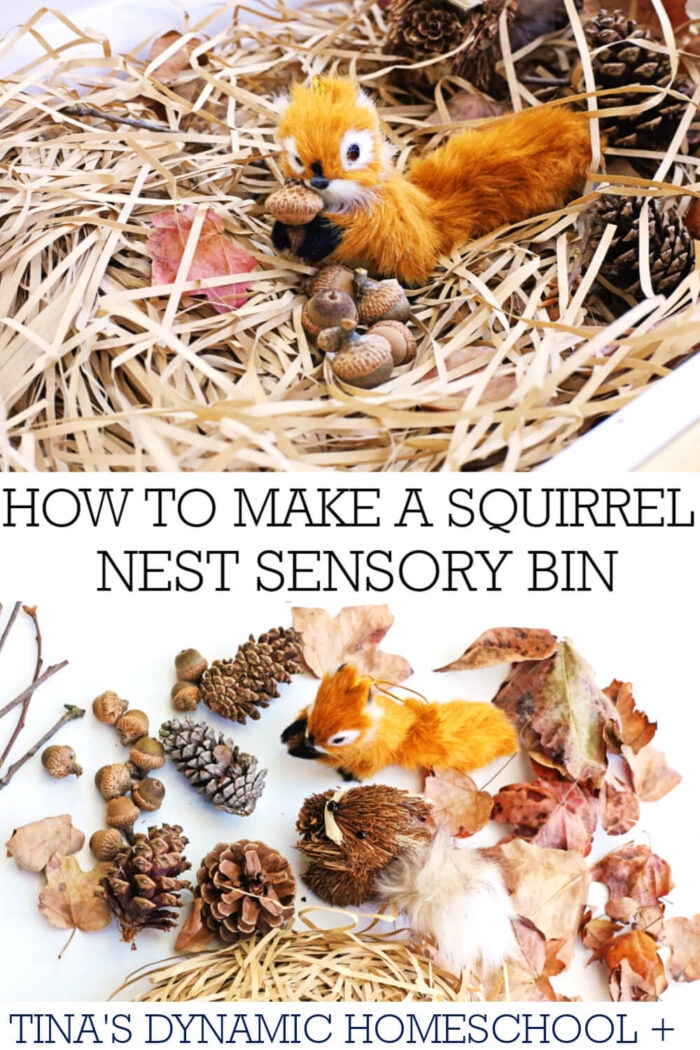 How To Make A Squirrel Nest Sensory Bin With Preschoolers