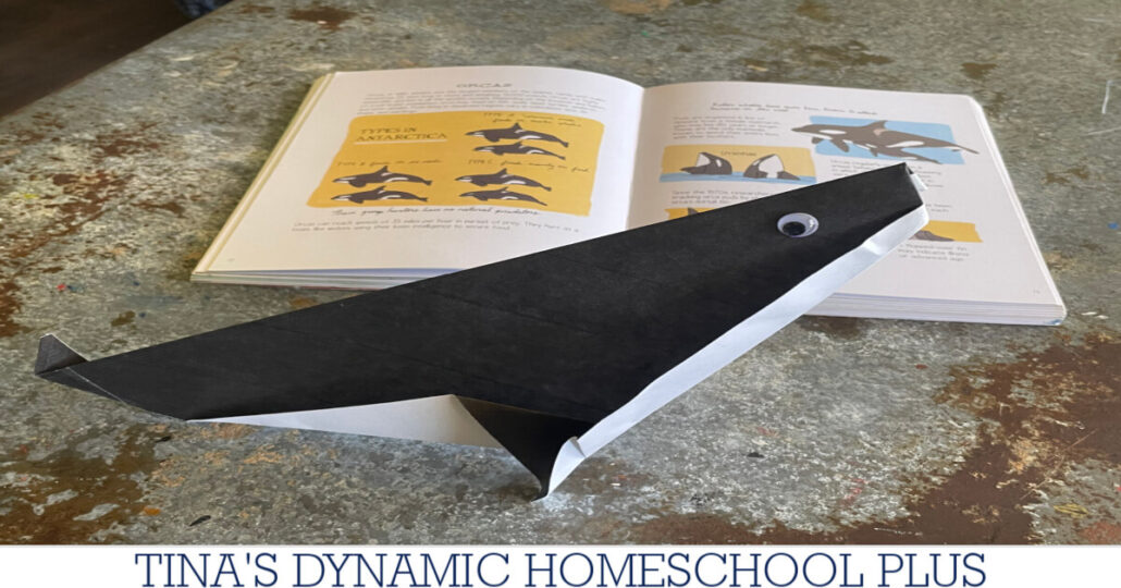 How To Make An Origami Orca Easy Craft