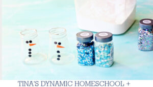 How to Make a Fizzy Snow Man Potion
