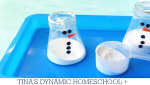 How to Make a Fizzy Snow Man Potion