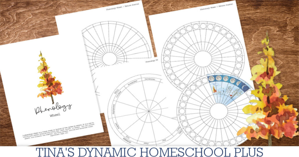 Nature's Rhythms: Get Your Free Phenology Wheel Nature Tracker