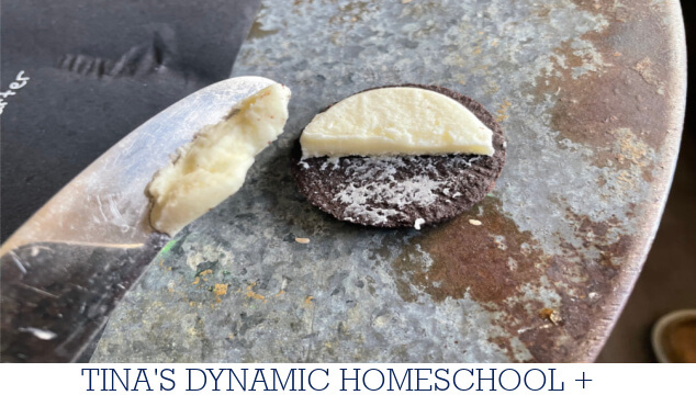 Oreo Phases Of The Moon Kids Science They'll Love