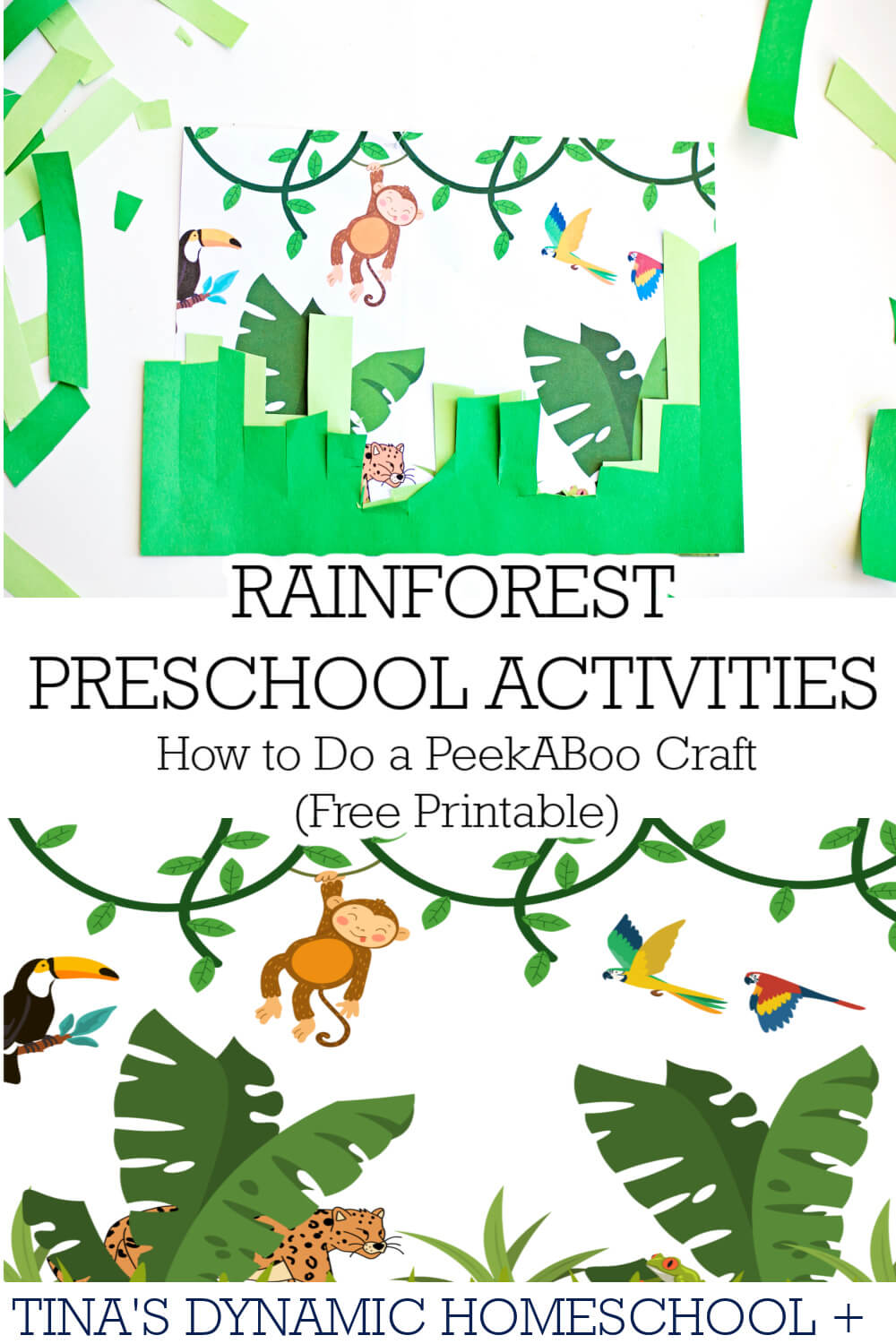 Rainforest Preschool Activities | How to Do a PeekABoo Craft (Free ...