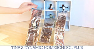 3 Easy Penguin Activities And Penguin Slide STEM Activity