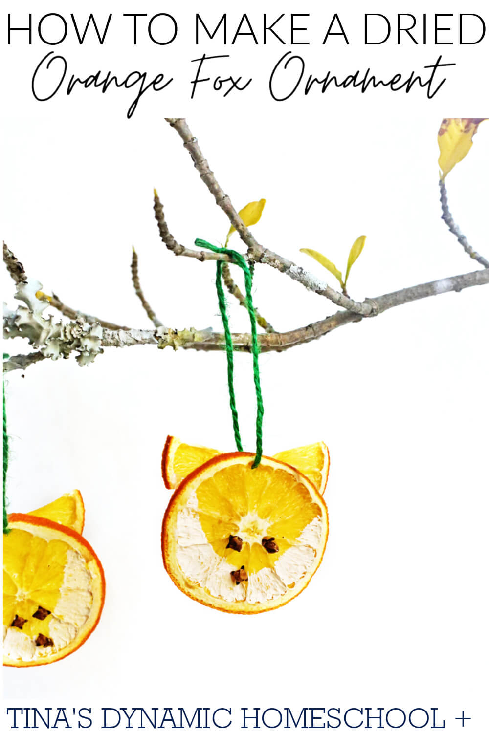 Creative Ways To Have Fun With Nature | How To Make A Dried Orange Fox ...