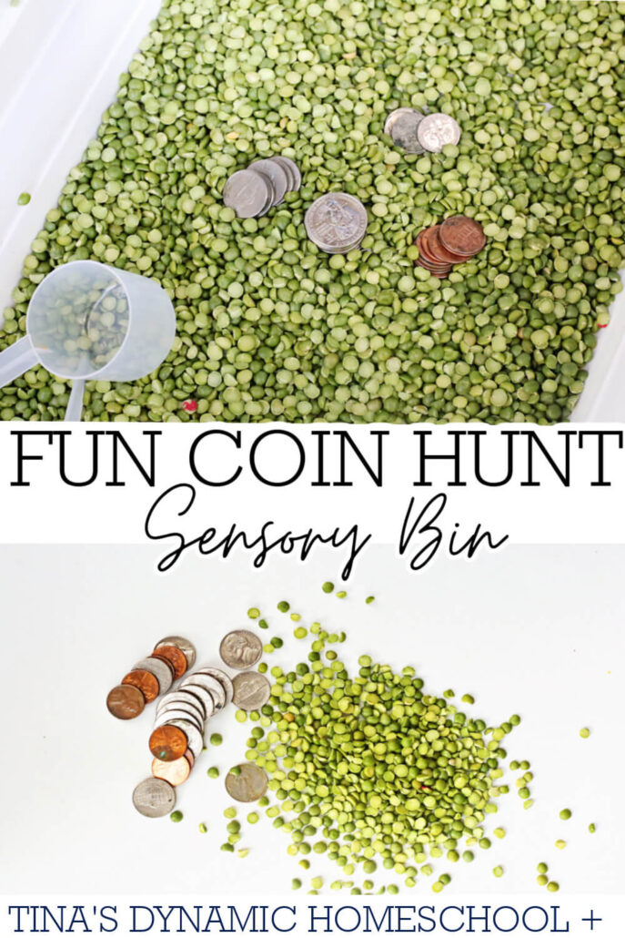 Easy and Fun Coin Hunt Sensory Bin For Kindergarten