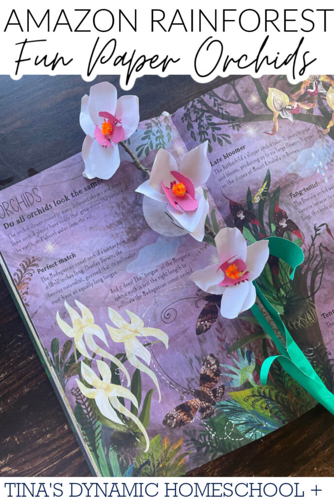 Flowers in the Amazon Rainforest & How To Make Fun Paper Orchids