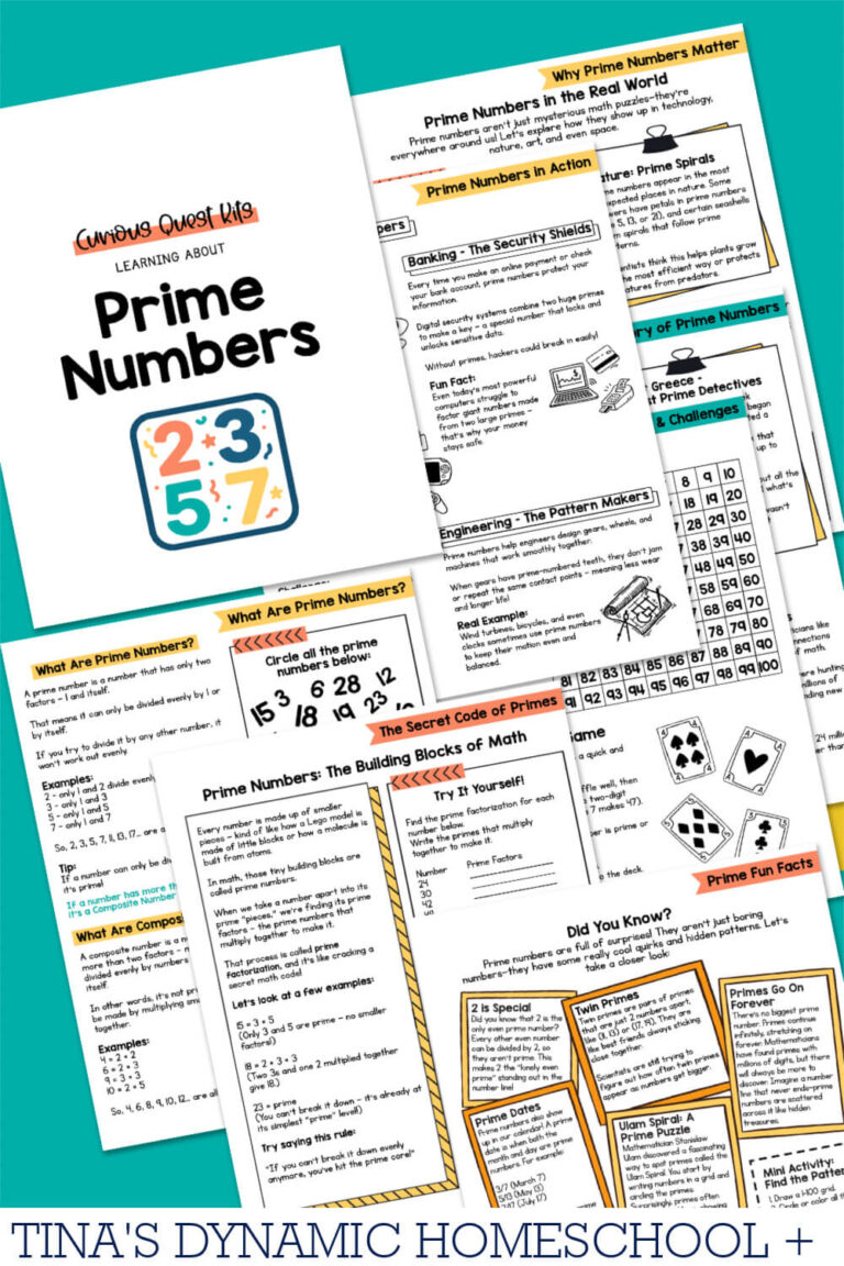 Middle School Hands-on Math Activities & Free Prime Numbers Printable