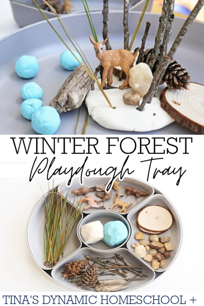 How To Craft A Winter Scene: Forest Playdough Ideas