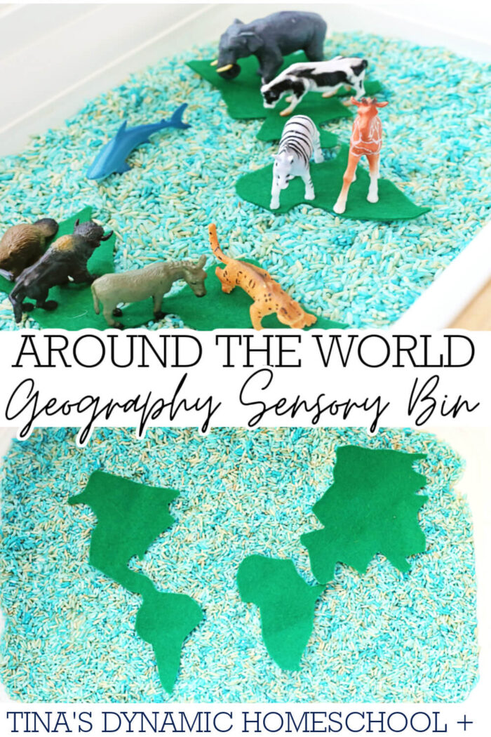 How To Teach Geography To Preschoolers: Around The World Bin