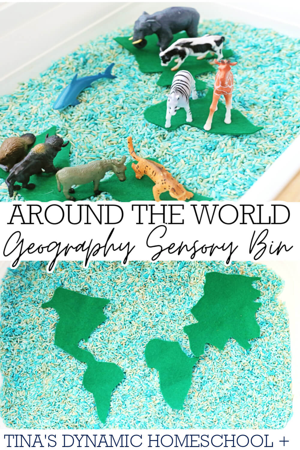 How To Teach Geography To Preschoolers: Around The World Bin