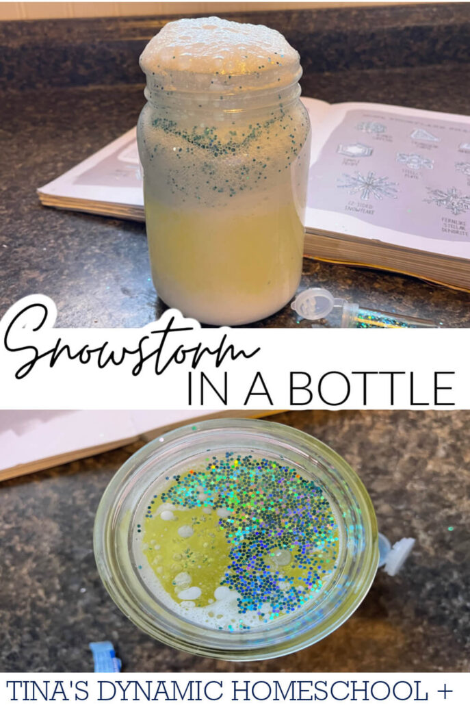 How to Create a Snowstorm in a Bottle: Fun Kids Project