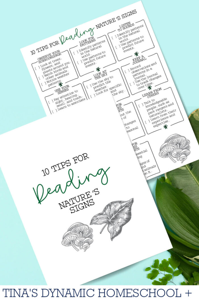 10 Easy Nature Tips for Reading Nature's Signs Freebie