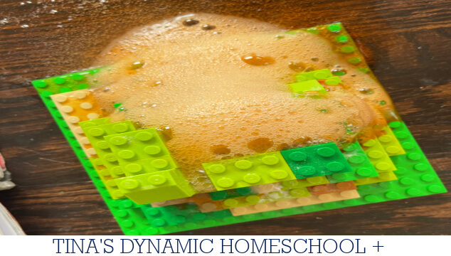 5 Exciting LEGO Science Activities for Kids Who Love Hands-On Learning