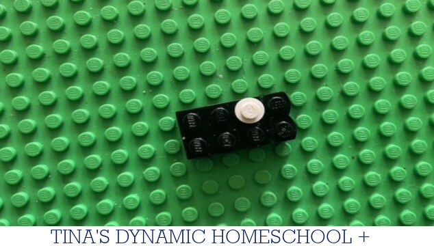 Easy and Creative LEGO Eye Anatomy Activity for Curious Kids