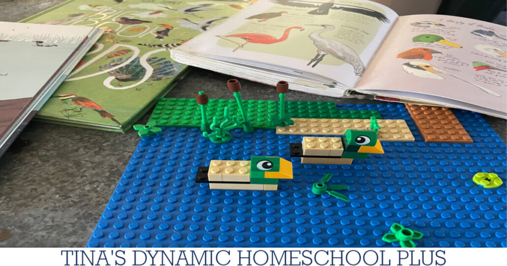 How to Create a LEGO Duck Pond: Step-by-Step Guide