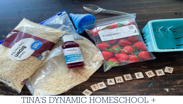 How to Create an Engaging Strawberry Sensory Bin for Hands-On Learning
