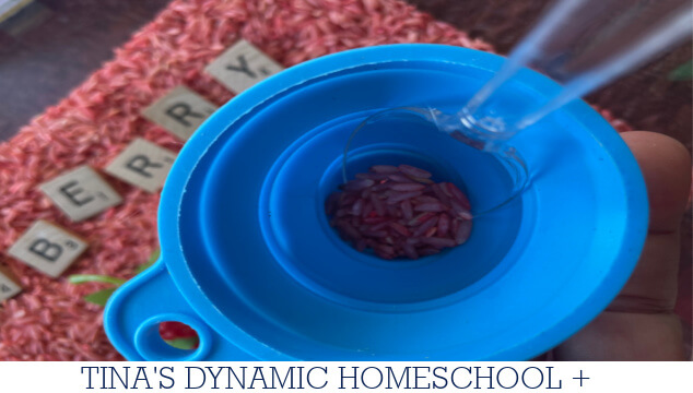 How to Create an Engaging Strawberry Sensory Bin for Hands-On Learning