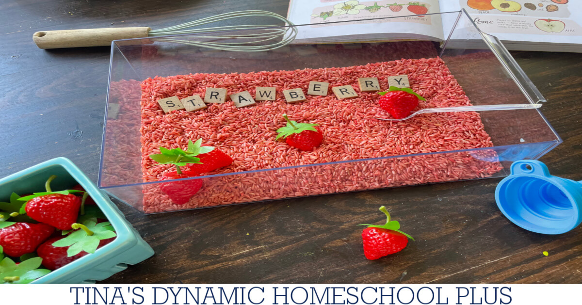How to Create an Engaging Strawberry Sensory Bin for Hands-On Learning