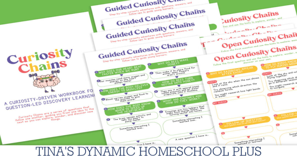 Unique Curiosity Chains Short Questions And Answers Freebie