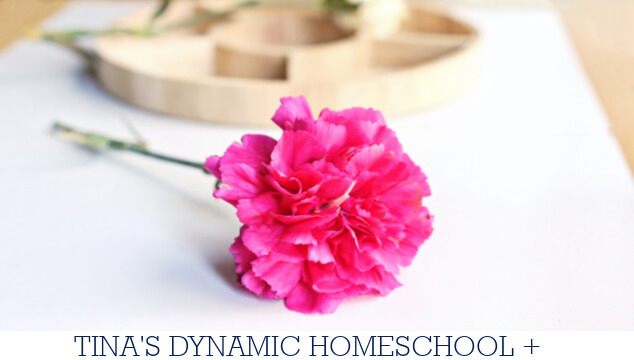 Easy Sorting Parts Of A Flower Science Project For Early Learners
