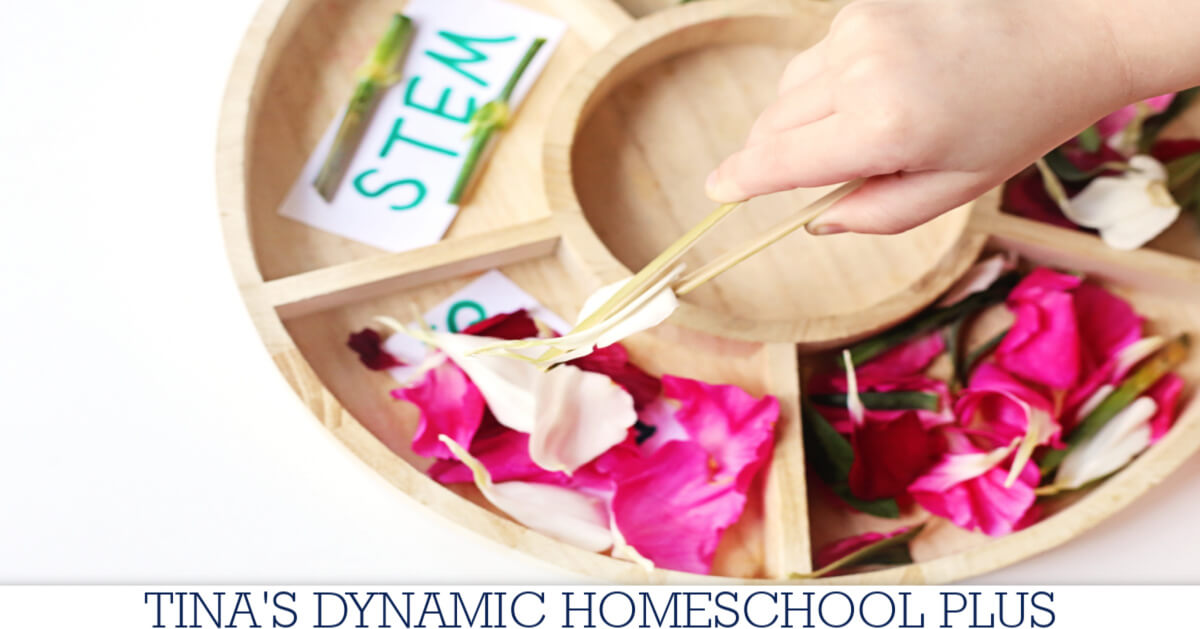 Easy Sorting Parts Of A Flower Science Project For Early Learners