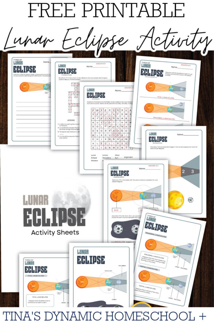 Engage Your Kids With Simple Lunar Activities And Free Eclipse Worksheets