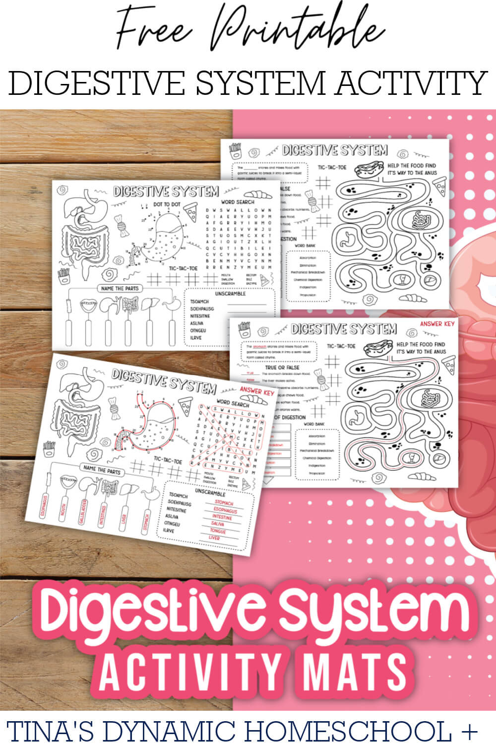 digestive system Archives - Tina's Dynamic Homeschool Plus