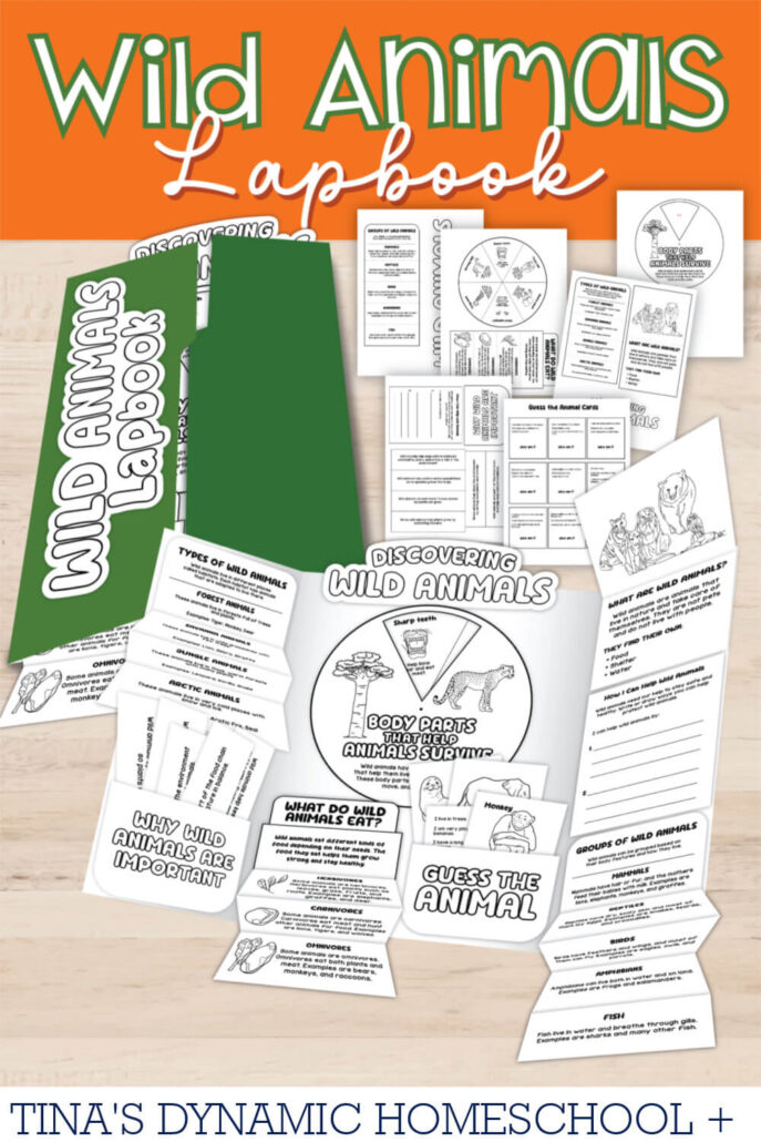 Free Lapbook Wild Animals for Kids Who Love Hands-on Science
