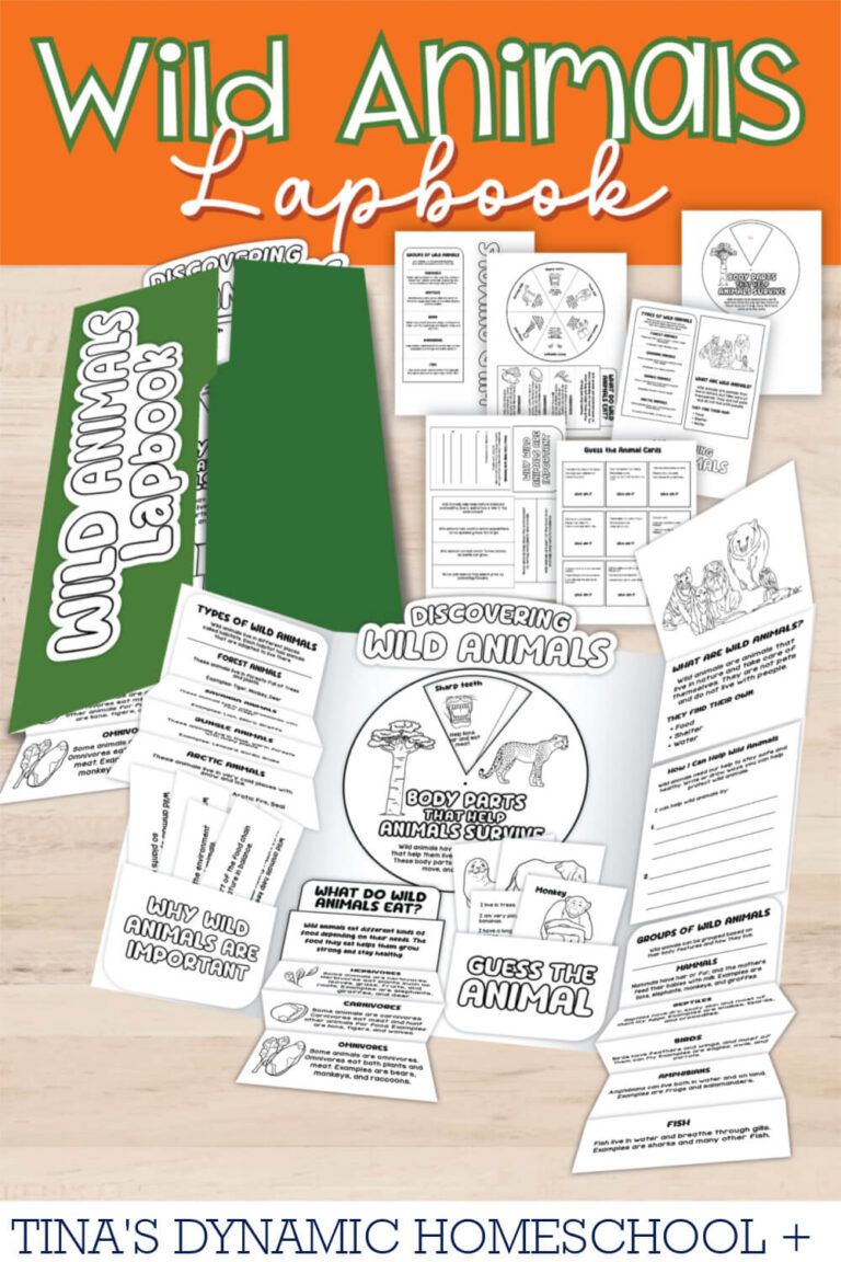 Free Lapbook Wild Animals for Kids Who Love Hands-on Science