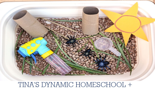 How To Make An Itsy Bitsy Spider Preschool Sensory Activity