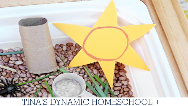 How To Make An Itsy Bitsy Spider Preschool Sensory Activity