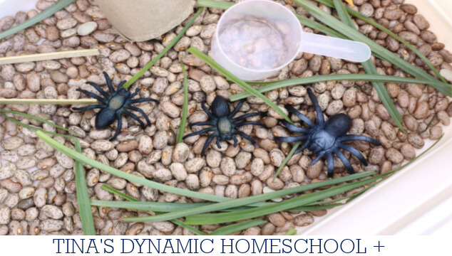 How To Make An Itsy Bitsy Spider Preschool Sensory Activity