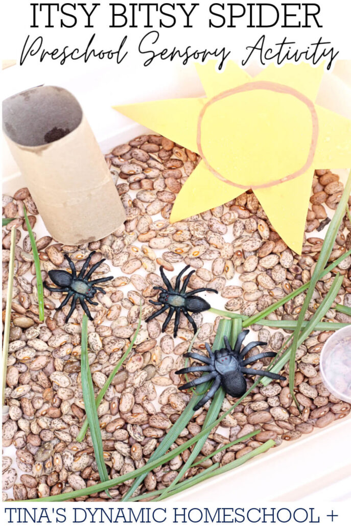 How To Make An Itsy Bitsy Spider Preschool Sensory Activity