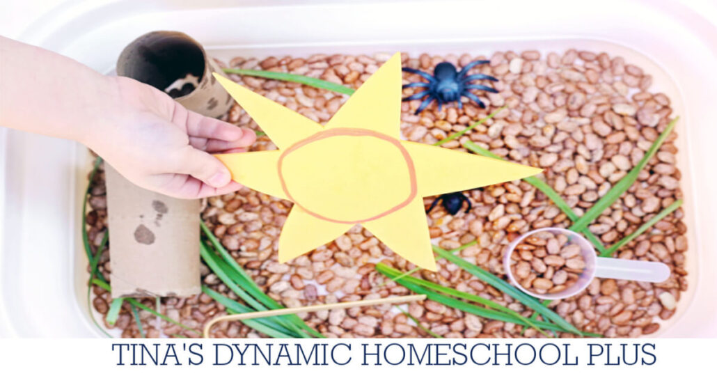 How To Make An Itsy Bitsy Spider Preschool Sensory Activity