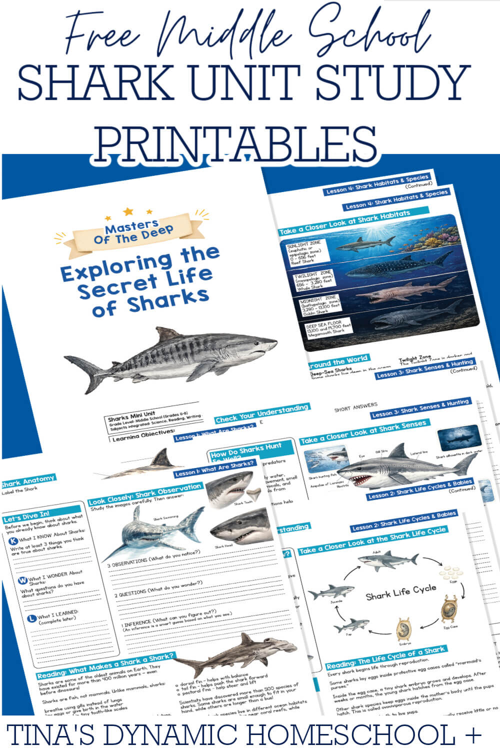 Free Middle School Years Fun Shark Unit Printables